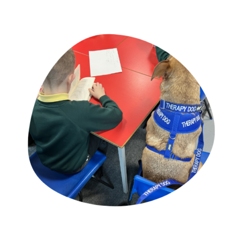 Positive Mindset | Stay N Play Canine Therapies